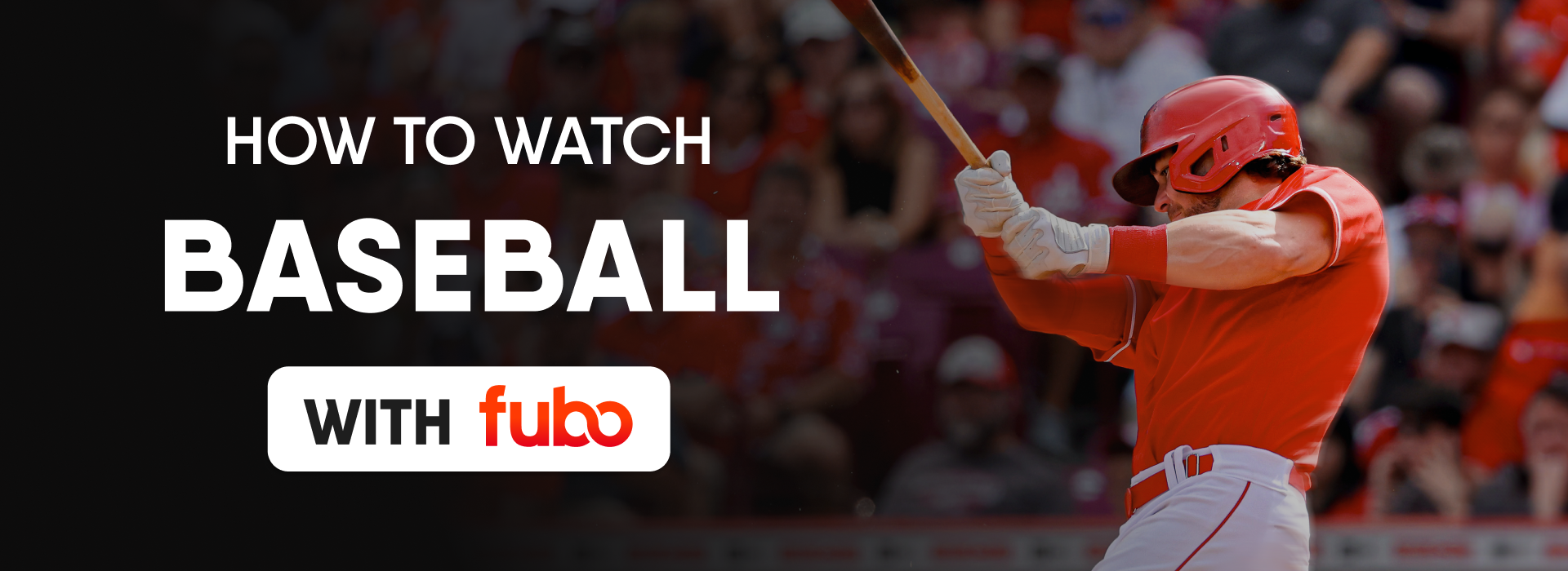 MLB Baseball Stadiums Map 2025: Explore All 30 Parks